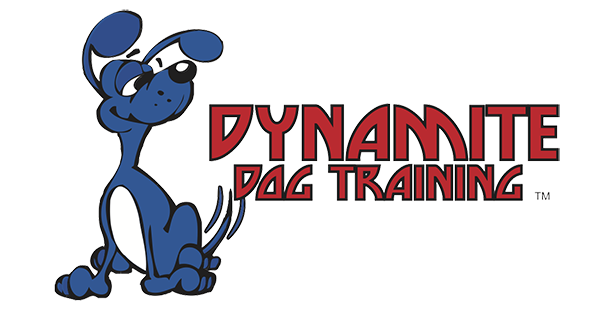 Dynamite Dog Training