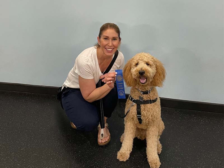 Group Training | Dynamite Dog Training