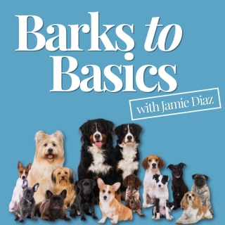 Podcast | Dynamite Dog Training