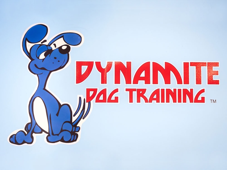 Dog Training Facility in Deerfield Beach, Florida | Dynamite Dog Training